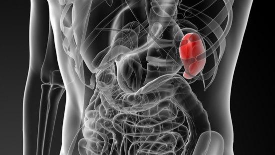 Fjernet milt, aspleni - NHI.no