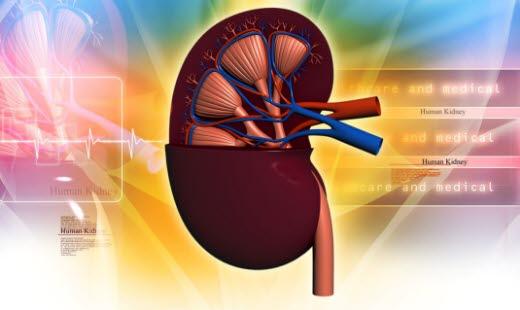 Wilms svulst - NHI.no