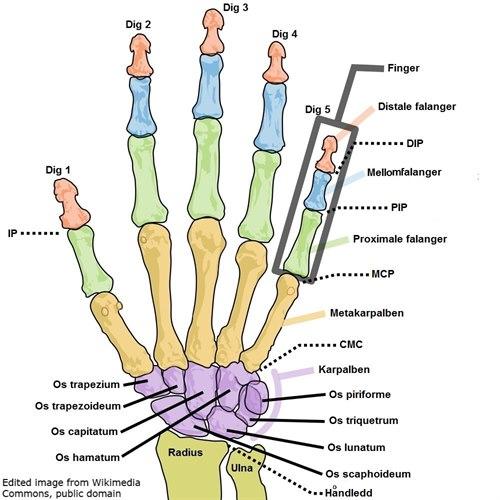 Bøyeseneskader i fingrene - pulleyskader - NHI.no