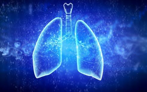 Soppinfeksjon, systemisk - NHI.no