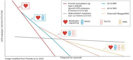 Kronisk nyresykdom: Medikament gir kardiorenal beskyttelse - NHI.no