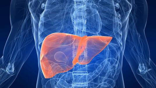 Gulsott, veiviser - NHI.no