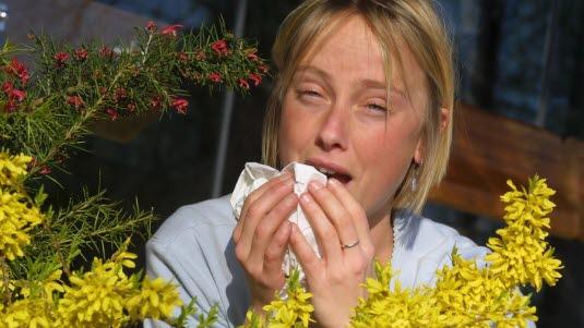Allergi, hva er det? - NHI.no