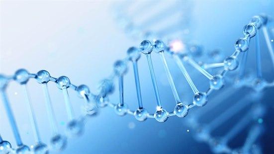 NIPT - non invasiv prenatal test - NHI.no