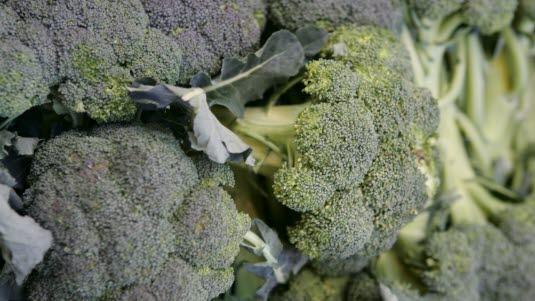 Brokkoli - mer enn mat - NHI.no